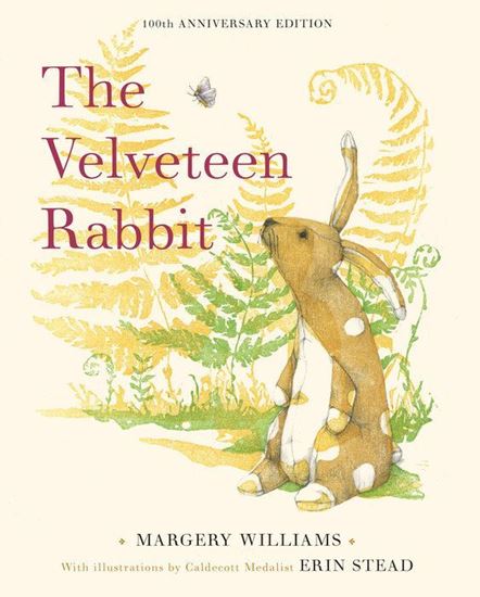 Cuesta Libros. THE VELVETEEN RABBIT (+3)