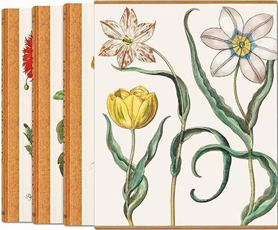 Cuesta Libros. BASILIUS BESLER. THE GARDEN AT EICHSTATT